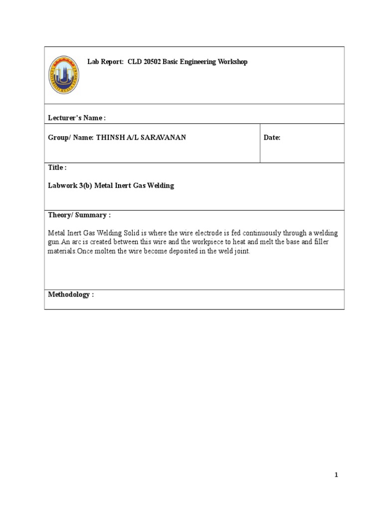 Lab Report MIG | PDF
