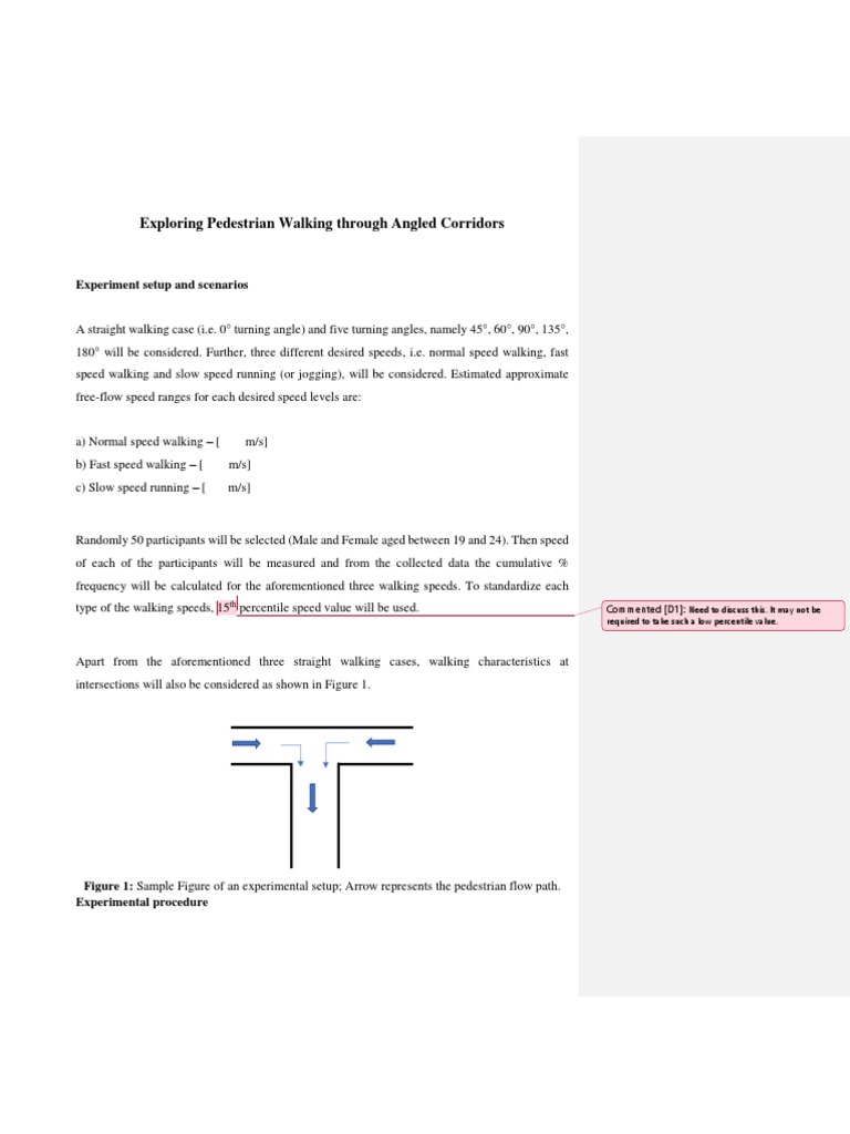 Exploring Pedestrian Walking Through Angled Corridors: Experiment Setup ...