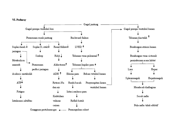Pathway Gagal Jantung dan Dampaknya | PDF