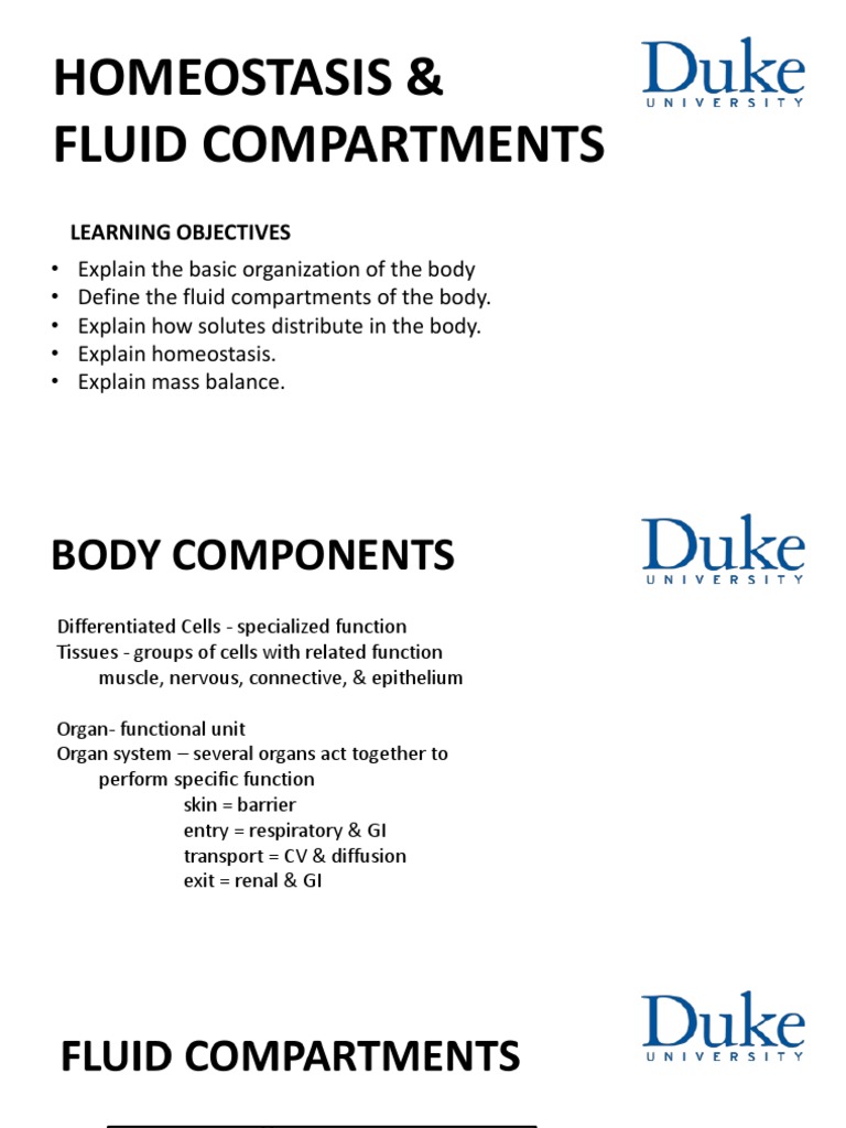 Homeostasis Revised | PDF | Human Body | Homeostasis