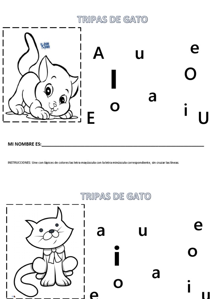 Tripas de Gato | PDF