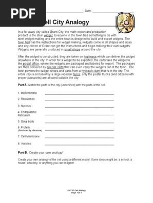 Cell City Worksheet Pdf