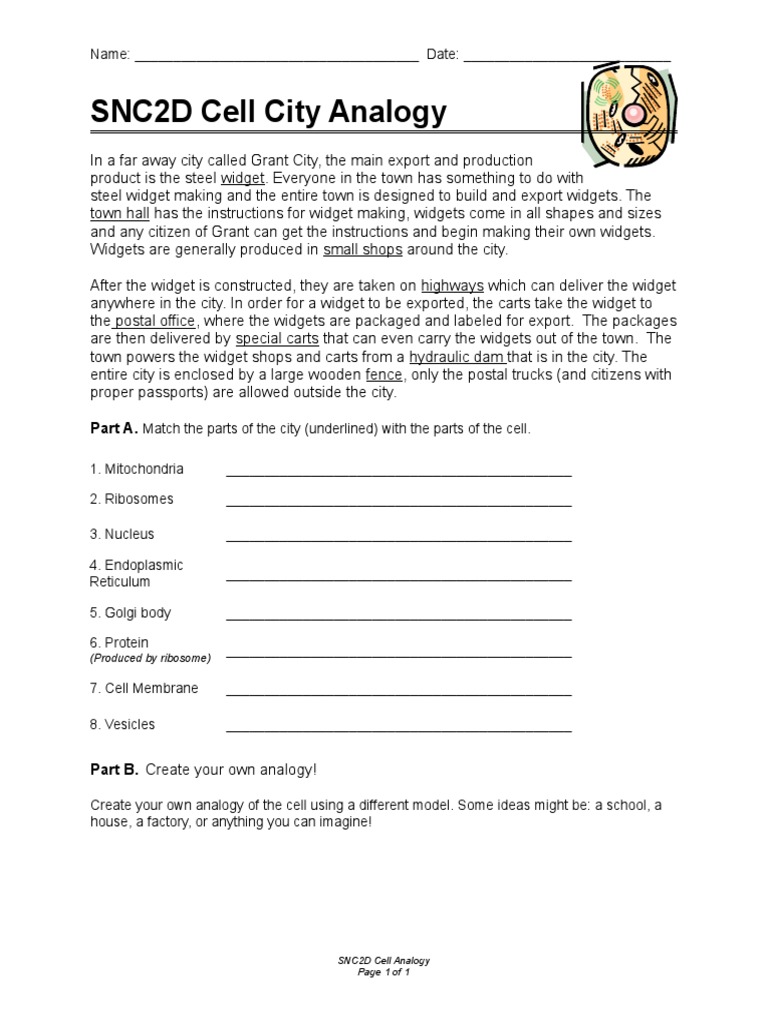 Cell City Analogy WS | PDF