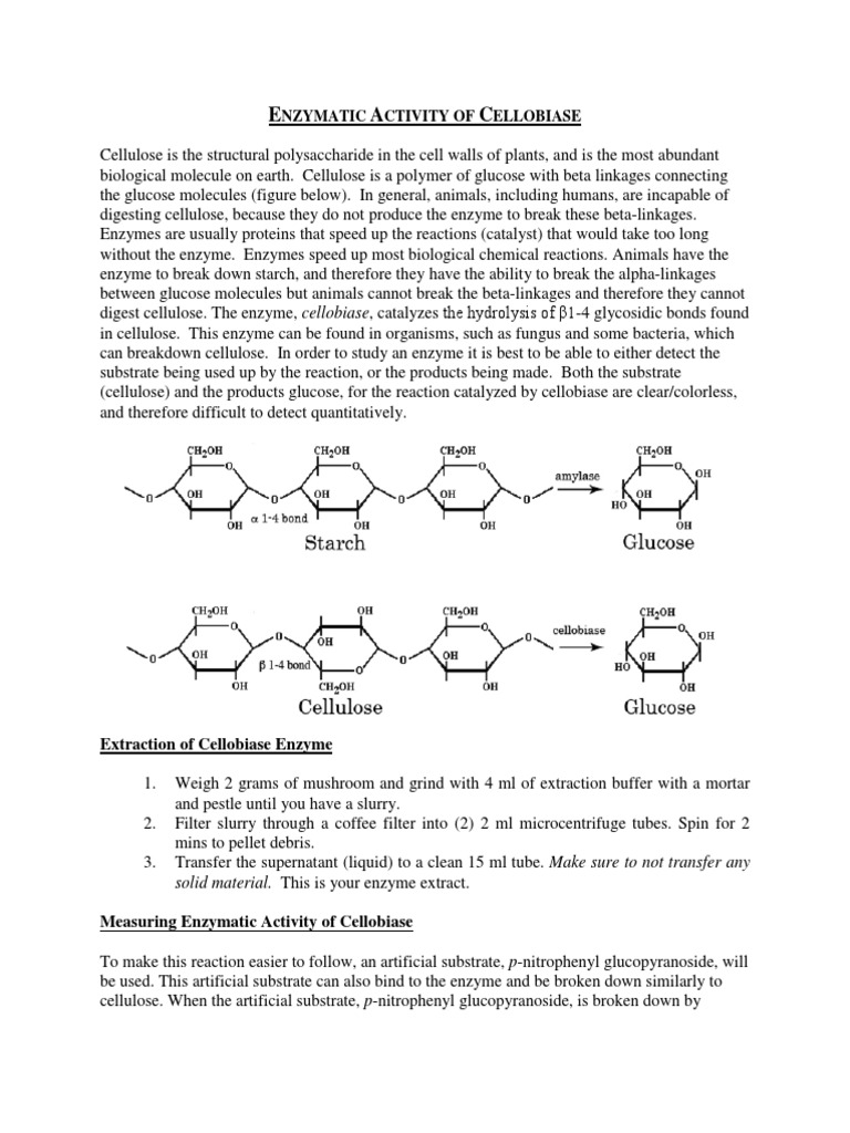 Cellobiase Activity (1ml) | PDF | Absorbance | Cellulose