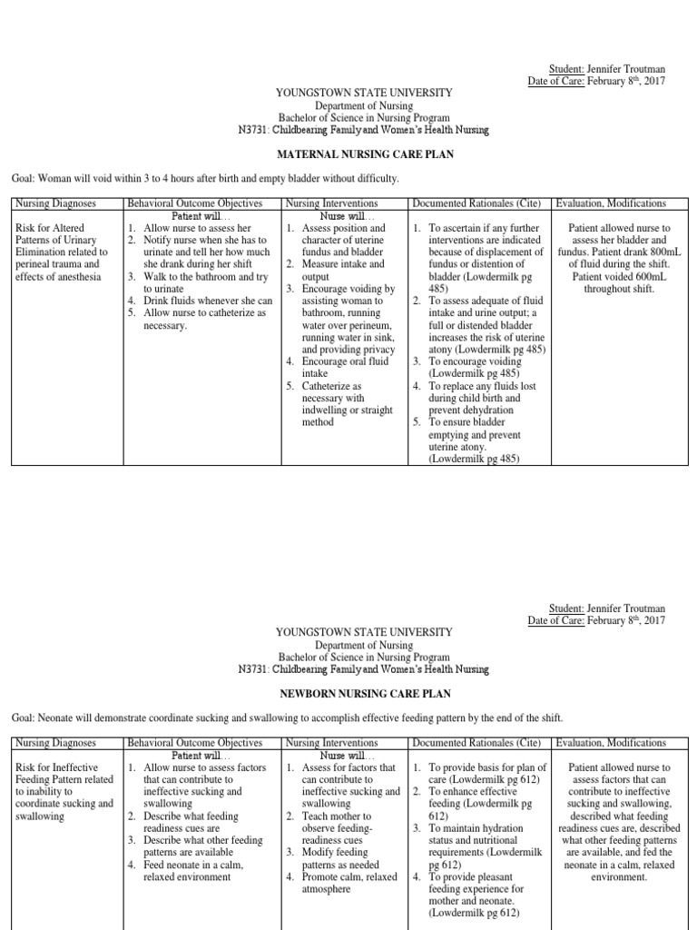 Ob Nursing Care Plan For Maternal Database Maternal and Newborn | PDF ...