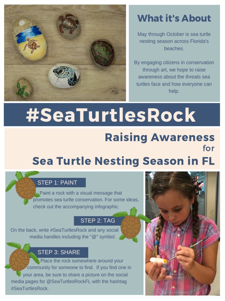 #Seaturtlesrock: Raising Awareness Sea Turtle Nesting Season in FL ...