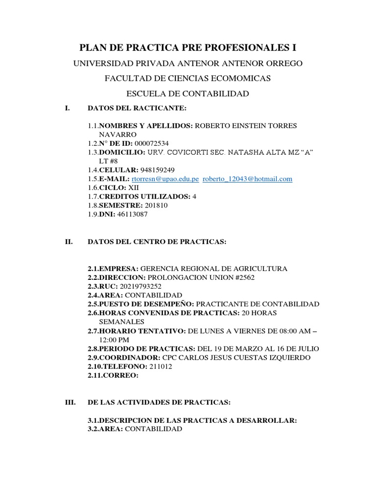Plan de Practica Pre Profesionales I Borrador | PDF