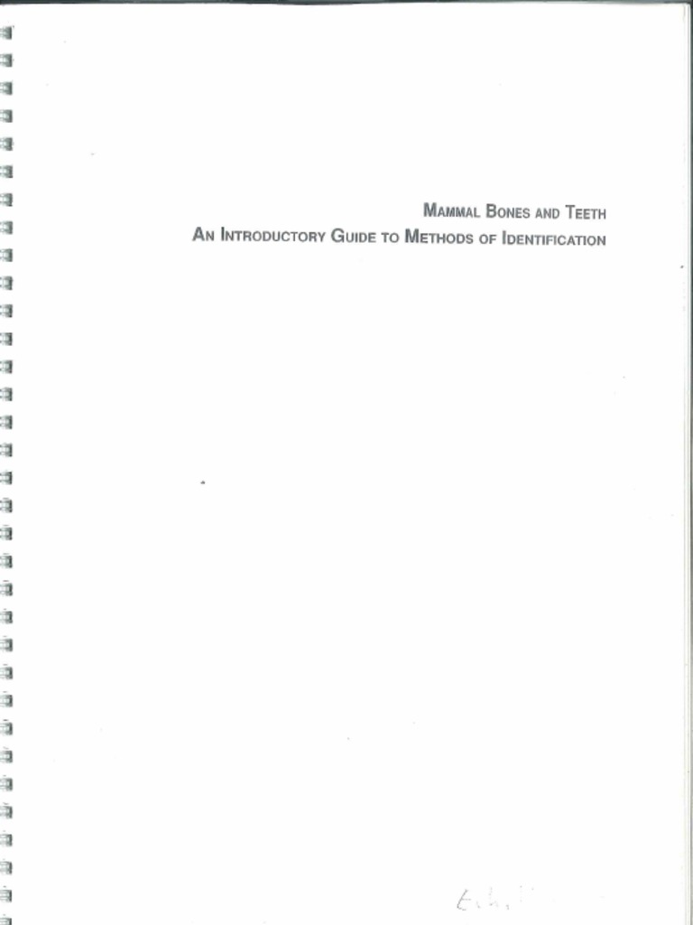 Hillson 1996 | PDF
