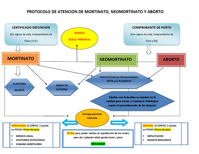 Protocolo de Atención en Casos de Mortinato y Aborto | PDF