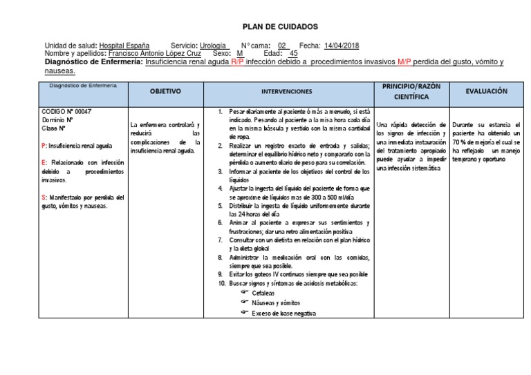 Plan de Cuidados-Irc | PDF | Enfermería | Diagnostico medico