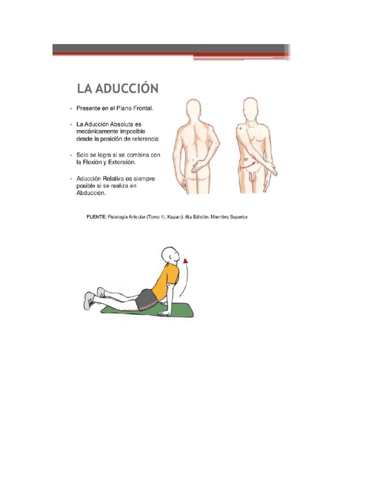 La Aducción | PDF