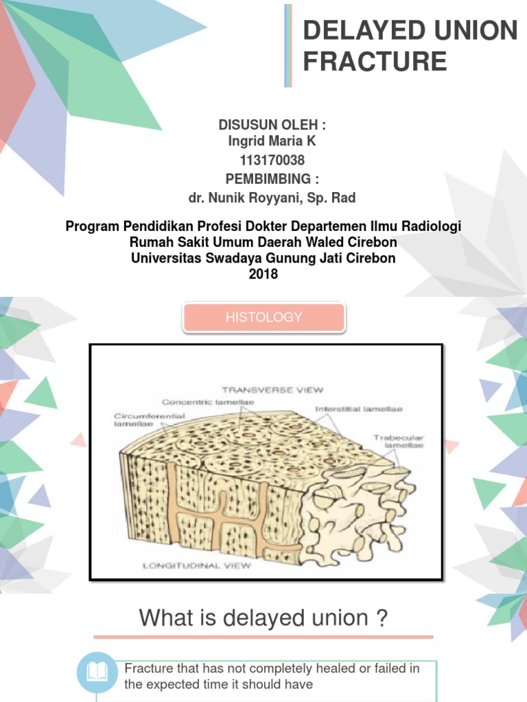 DELAYED UNION FRACTURE: A CASE STUDY | PDF | Microsoft Power Point ...