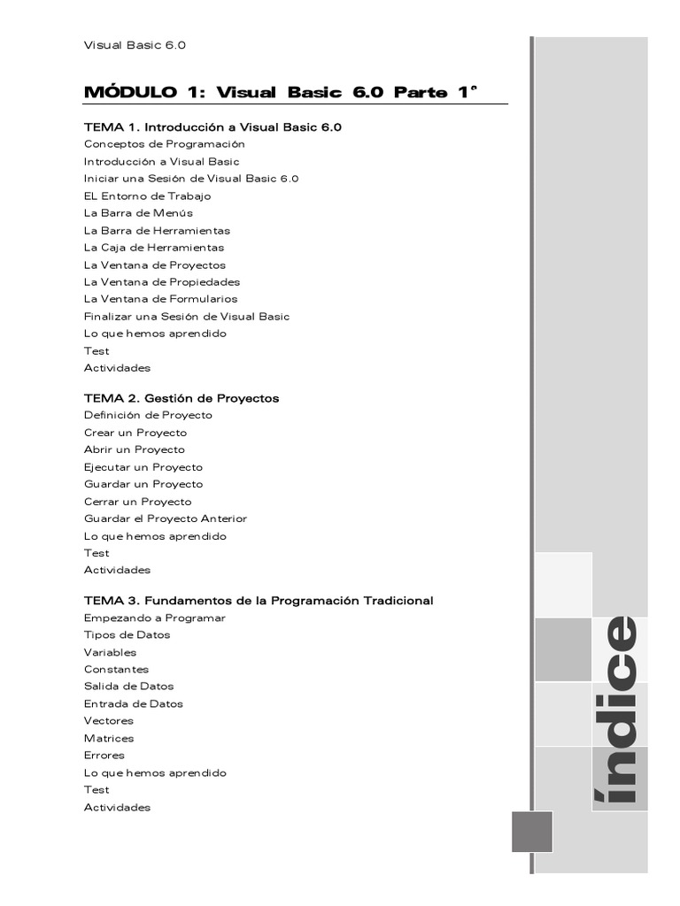 Visual Basic | PDF | Básico | Ventana (informática)