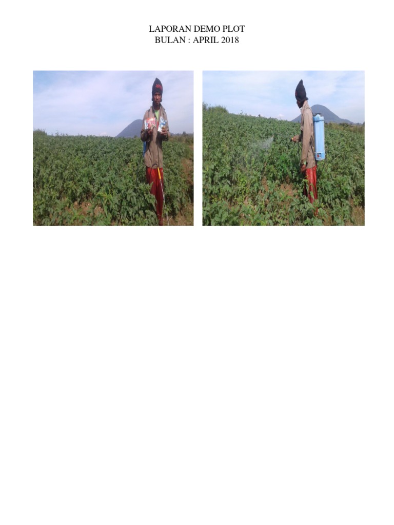 Laporan Demo Plot April 2018 | PDF