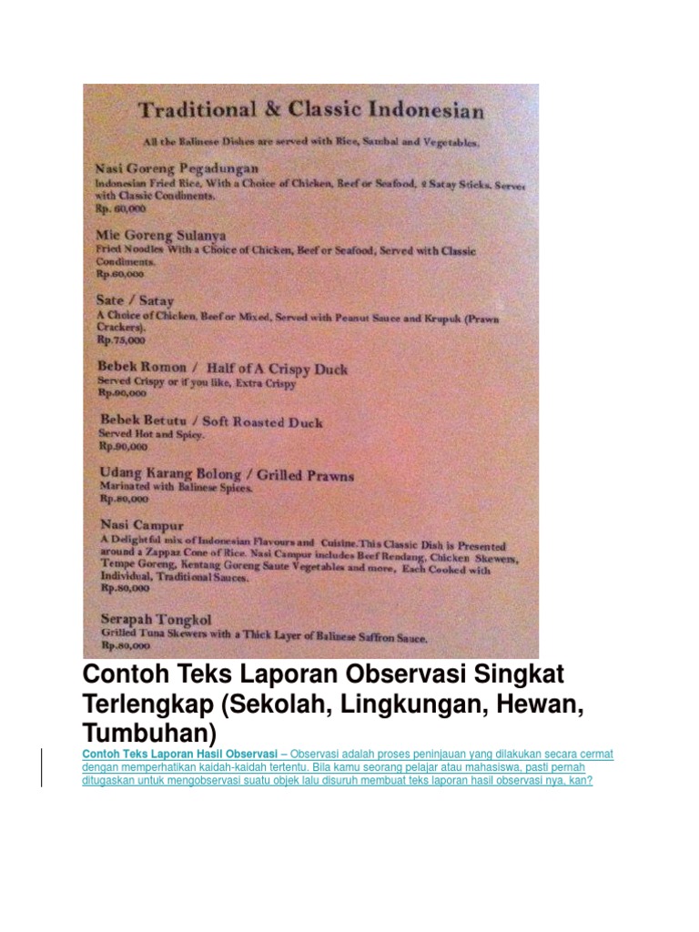 Contoh Teks Laporan Observasi Singkat Terlengkap | PDF
