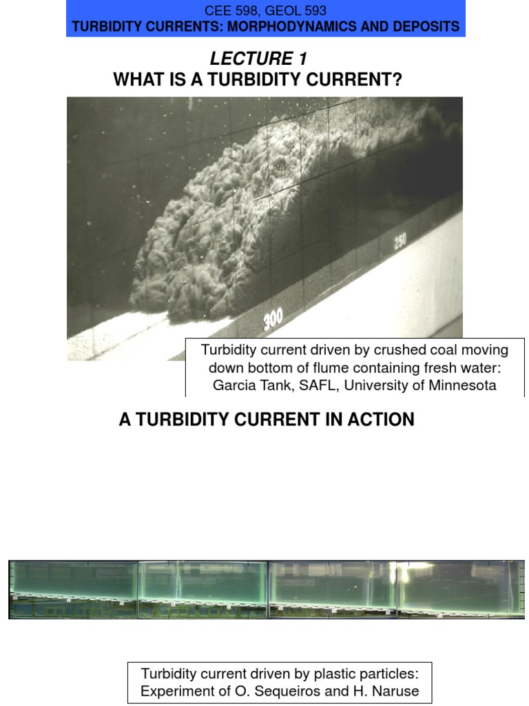 What Is A Turbidity Current?: Turbidity Currents: Morphodynamics and ...