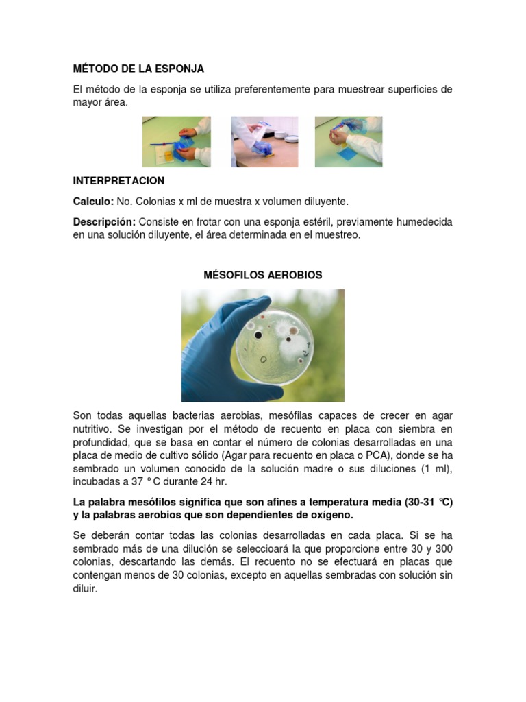 Mésofilos Aerobios | PDF