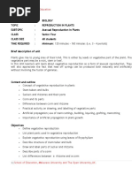 8th Class Biology Project Work | PDF | Plant Stem | Agriculture