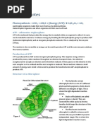 BIOZONE IB Biology 2nd Edition Sample Packet | PDF | Cell Potency | Mitosis