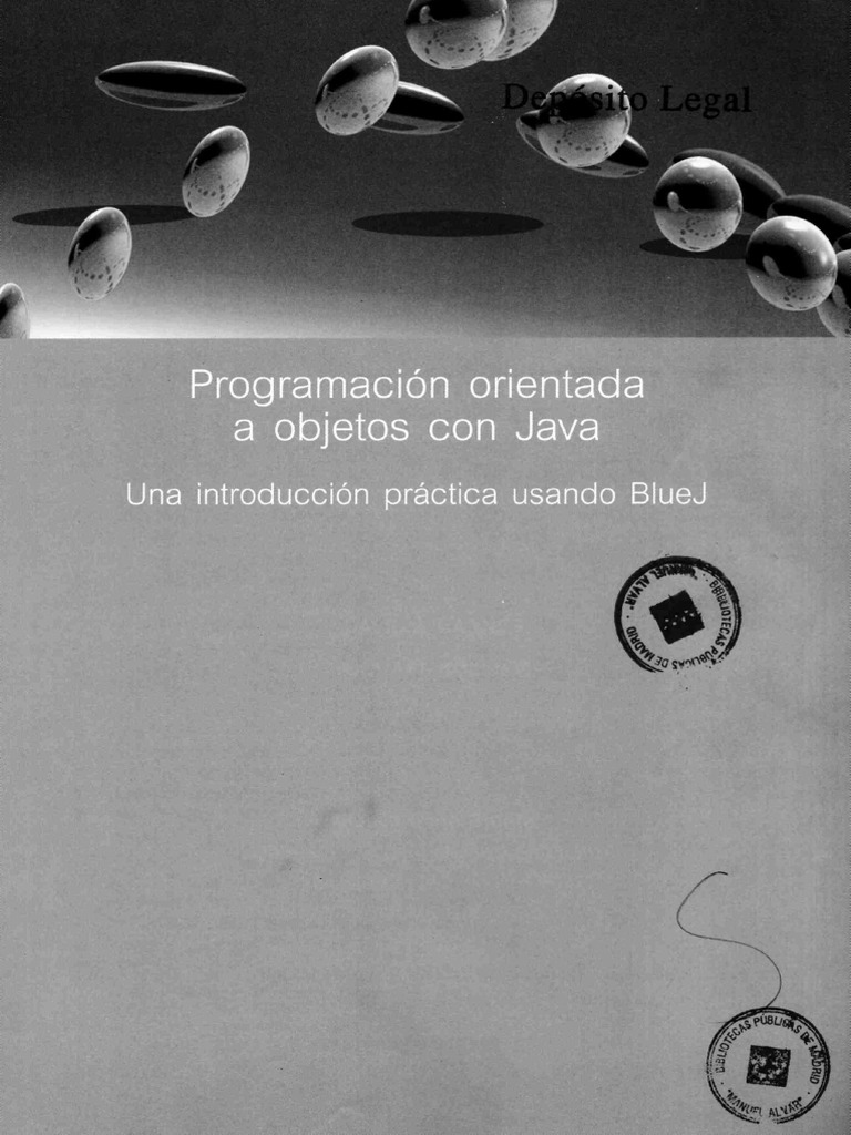 Programacion Orientada A Objetos Con Java | PDF