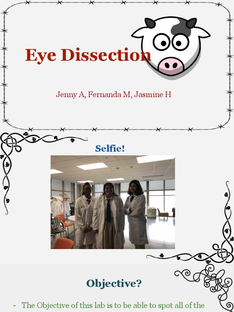 Cow Eye Dissection Lab Guide | PDF | Wellness
