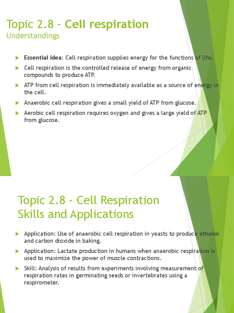 Cell Respiration: ATP Production Through Aerobic and Anaerobic ...