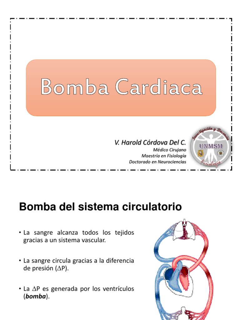 Bomba Cardiaca | PDF | Ventrículo (corazón) | Corazón
