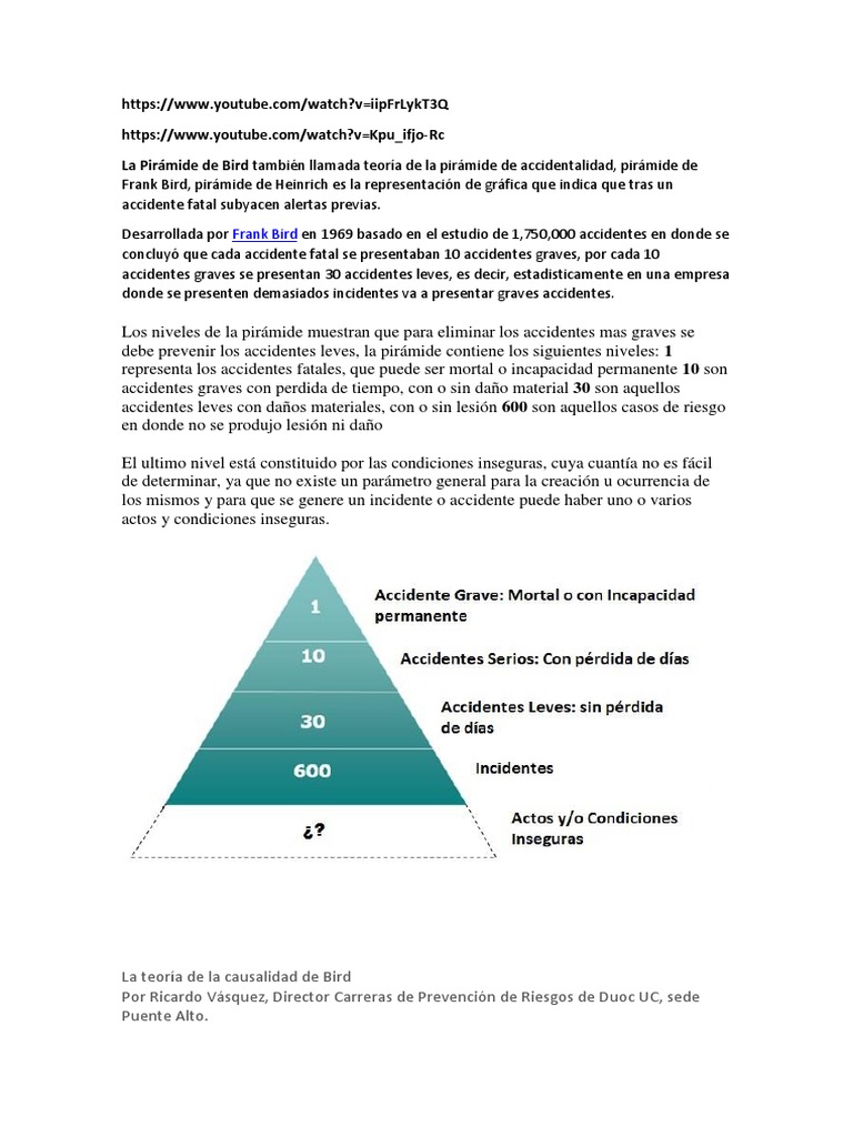 Pirámide de Bird: Control de Riesgos Laborales | PDF | Science ...
