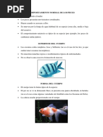 Anatomía y Fisiología de Los Peces Teleósteos | PDF | Vena | Pescado
