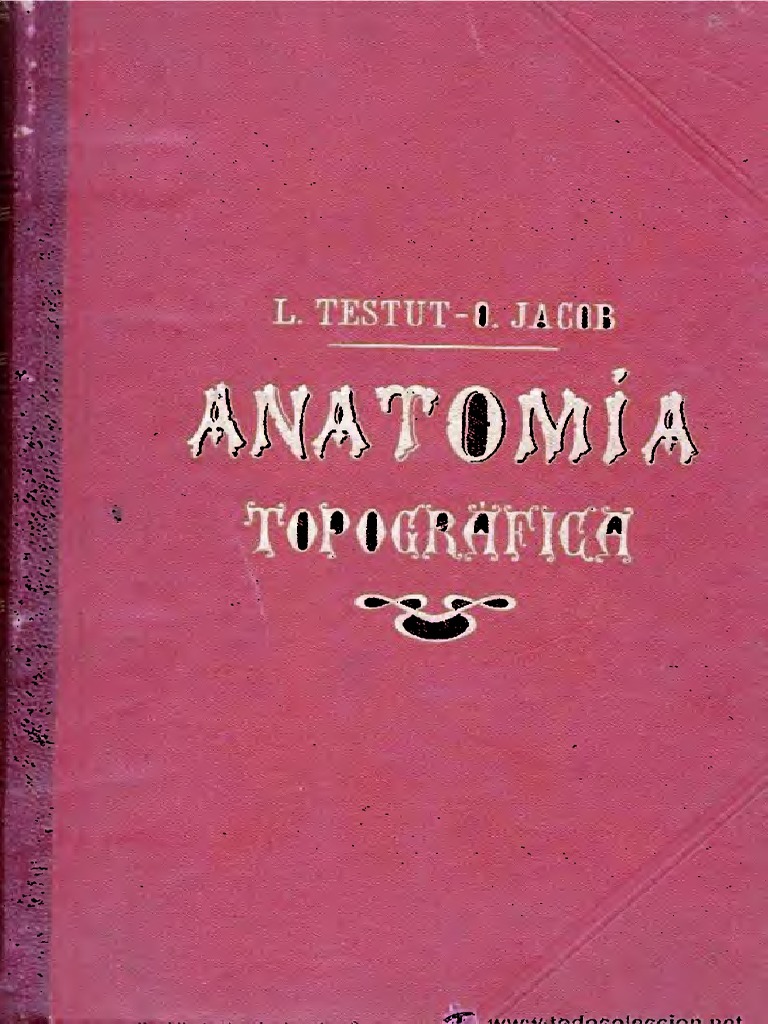 L. Testut - O. Jacob - Tratado de Anatomia Topografica 1 de 2 PDF | PDF