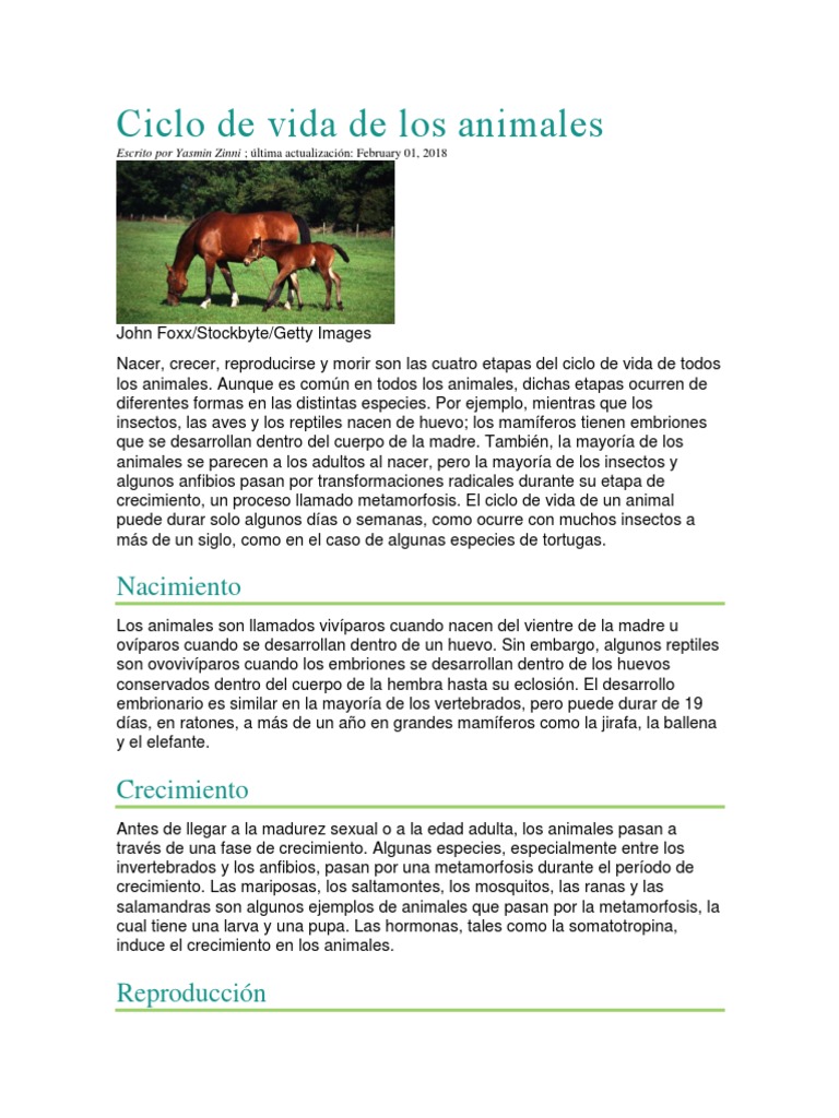 Ciclo de Vida de Los Animales | PDF | Reproducción | Huevo