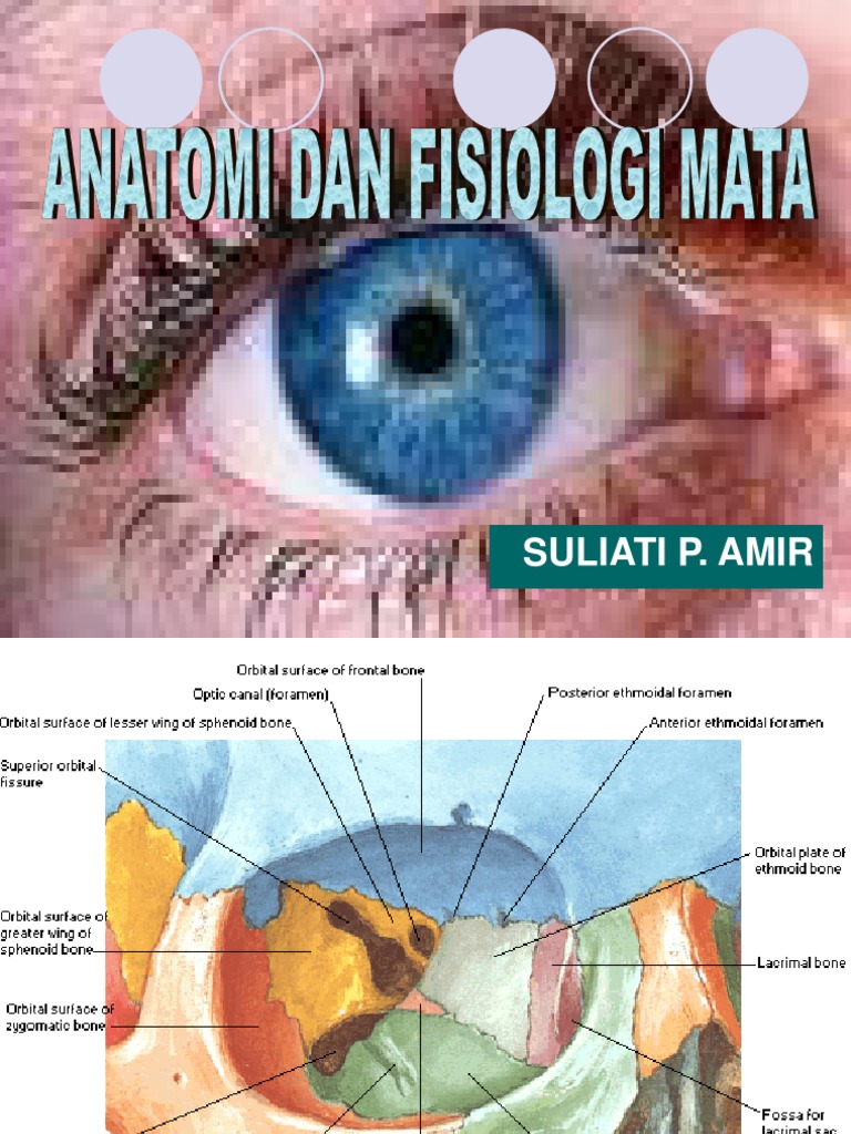 Anatomi Dan Fisiologi Mata
