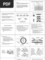 Grade 12 Notes | PDF | Autonomic Nervous System | Nervous System