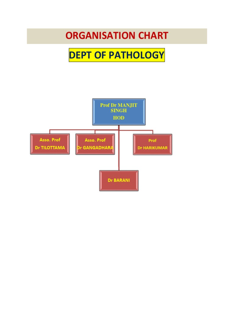 Dept of Pathology: Organisation Chart | PDF