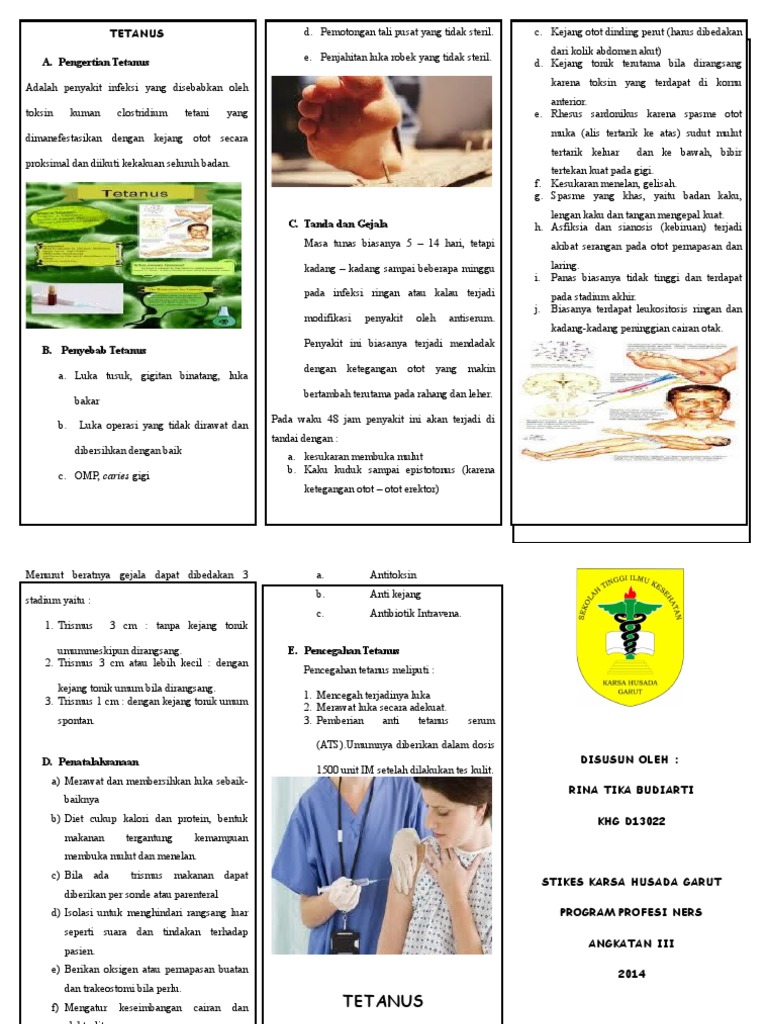 Leaflet Tetanus | PDF