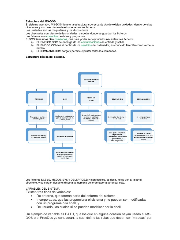 Estructura Del MS | PDF | Dos | Microsoft Windows
