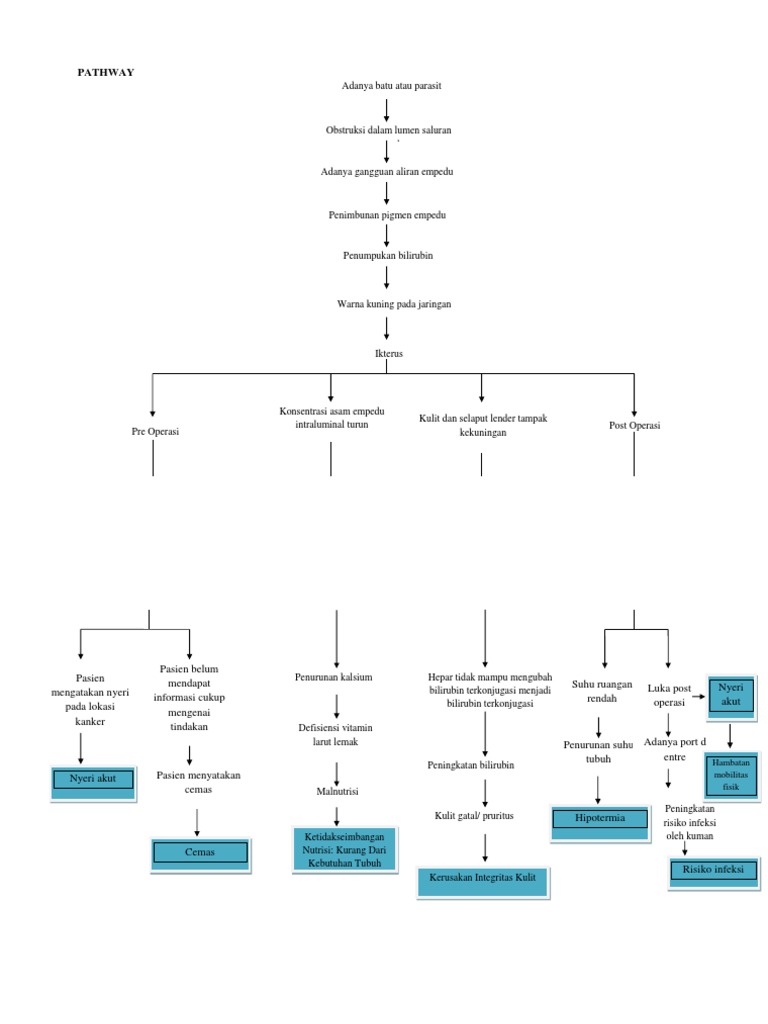 Pathway Ikterus Obstruktif dan Penyebabnya | PDF