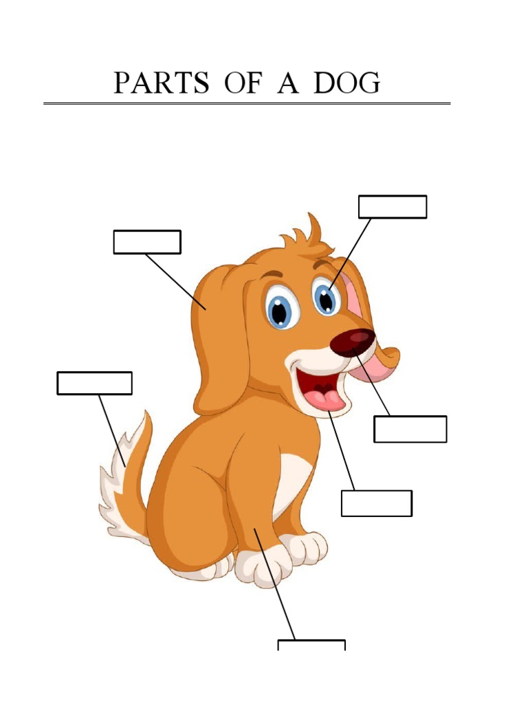 Parts of A Dog | PDF