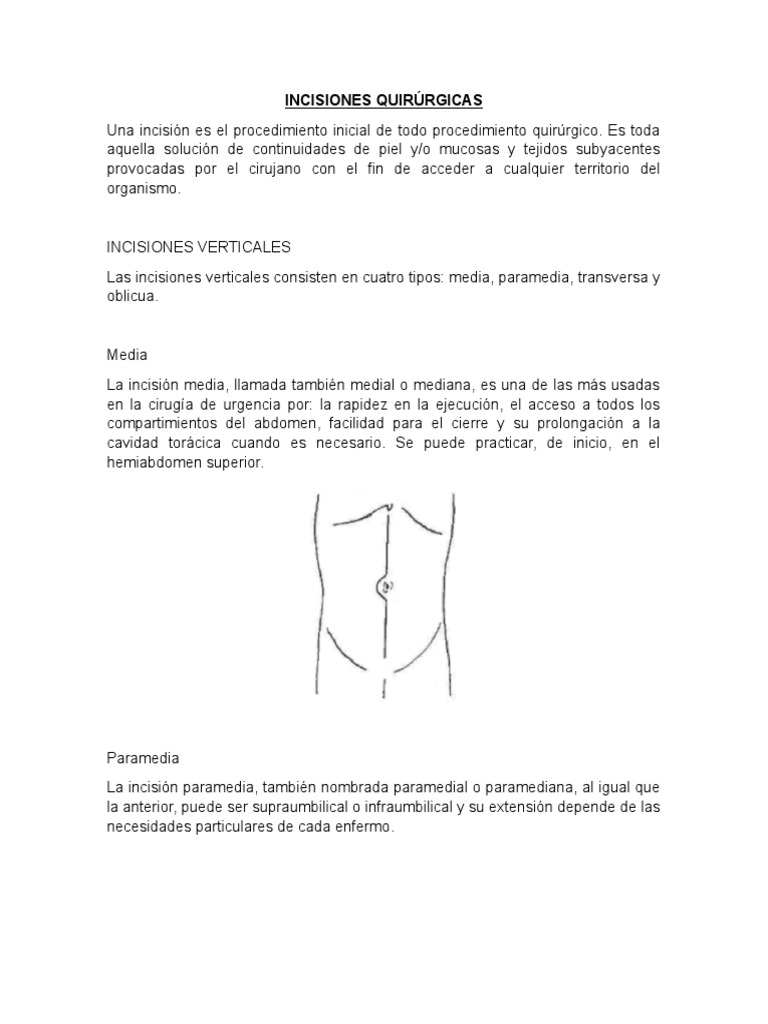 Tipos De Incisiones Quirúrgicas Pdf Pelvis Especialidades Medicas