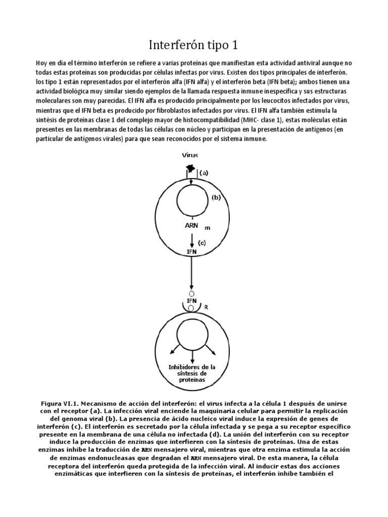 Interferón Tipo 1 | Interferón | Receptor (Bioquímica)