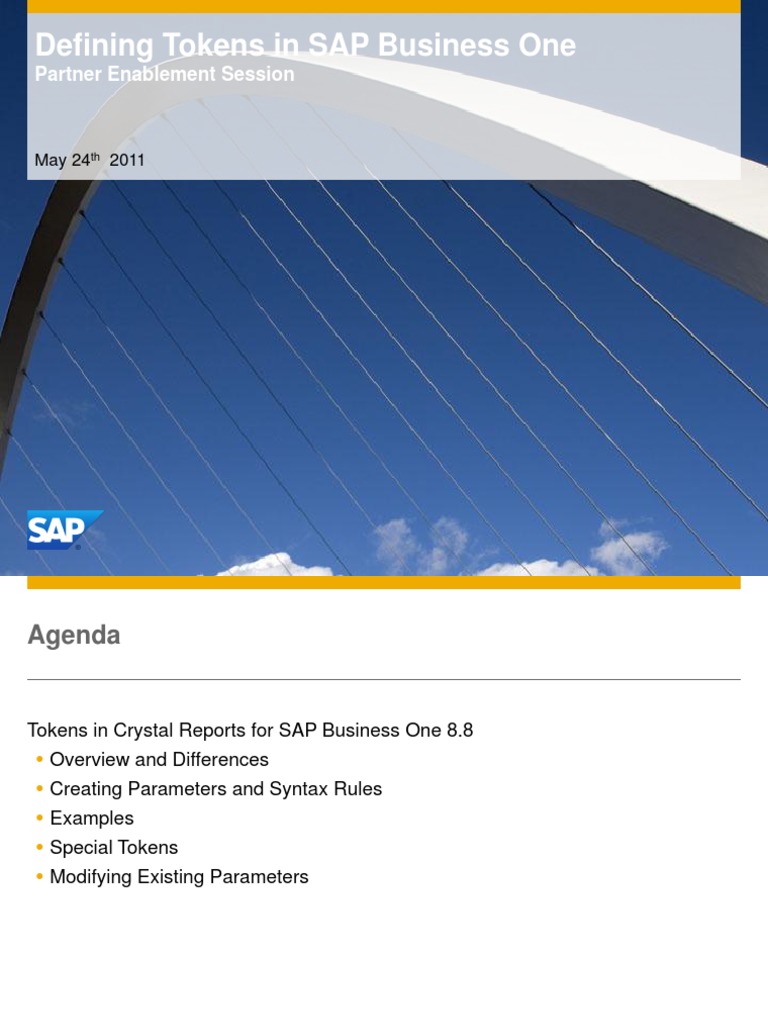 DefiningTokens-SAP Business One | PDF | Parameter (Computer Programming ...