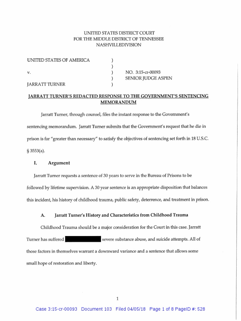 Turner Defense Sentencing Memo | PDF | Substance Abuse | Child Sexual Abuse