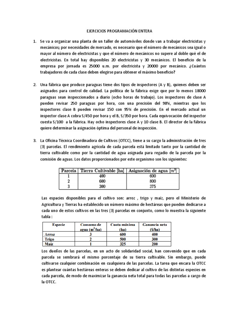Ejercicios Programación Entera 1 | PDF | Agricultura | Economias