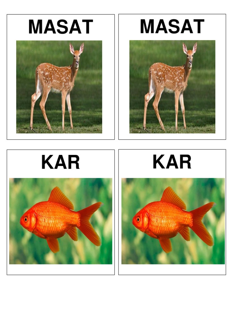 Pocoman Tarjetas | PDF