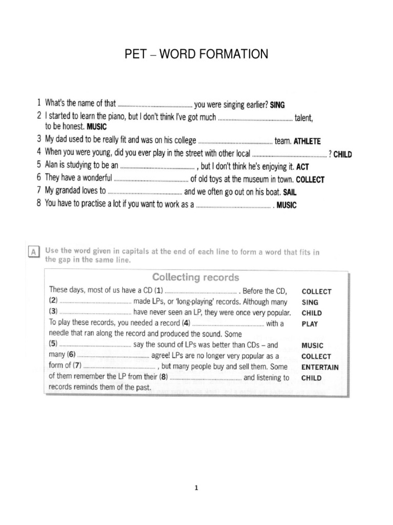Pet - Word Formation | PDF