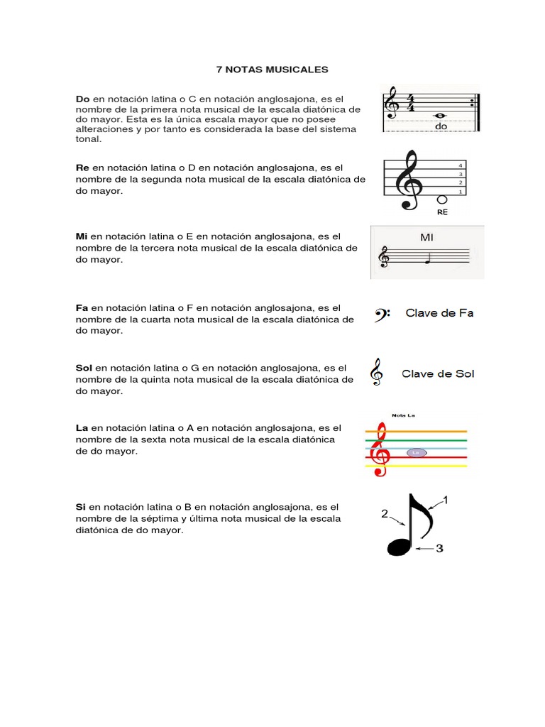 7 Notas Musicales Xilofono Infantil 7 Notas Musicales Infantil