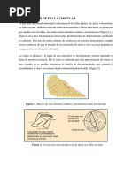 Partes de Un Talud Informe de Taludes | PDF | Agua subterránea | Estrato