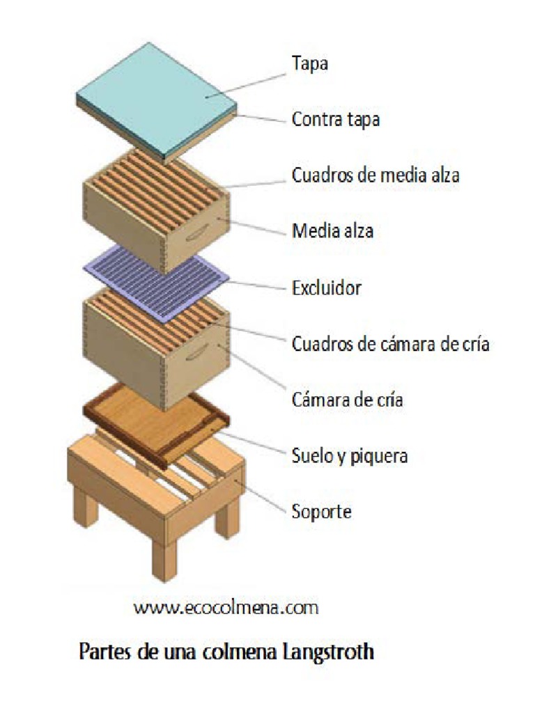 Partes De Una Colmena Pdf