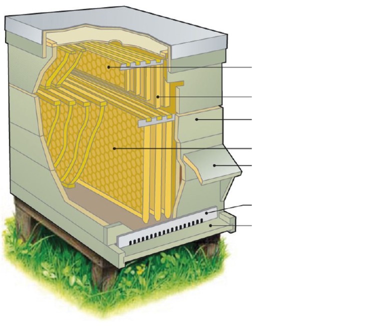 Partes de La Colmena 3D | PDF