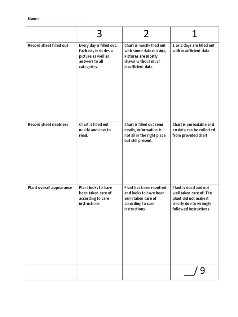 Rubric For Plant | PDF | Data | Computing